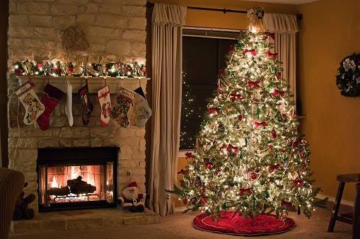 10 Rekomendasi Pohon Natal Dan Harga Community