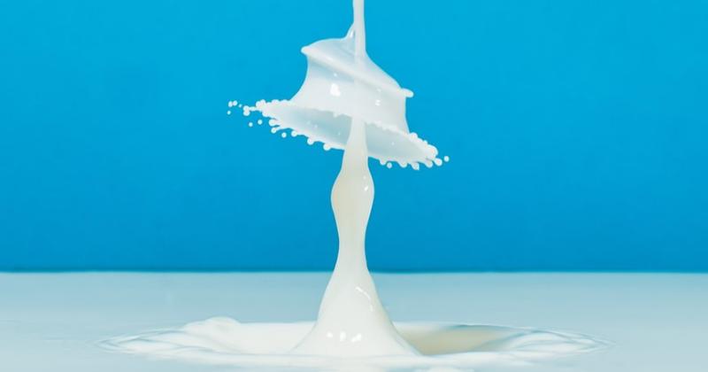 8 Rekomendasi Merek Susu Rendah Lemak Untuk Diet